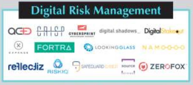 Cyber Scape Interactive - drm