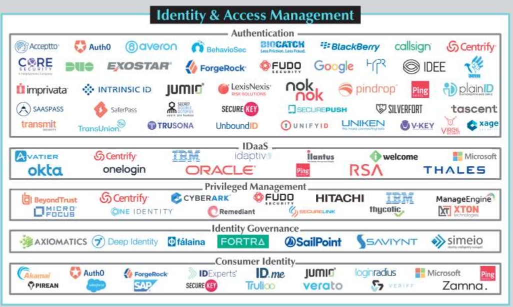 Cyber Scape Interactive - identity